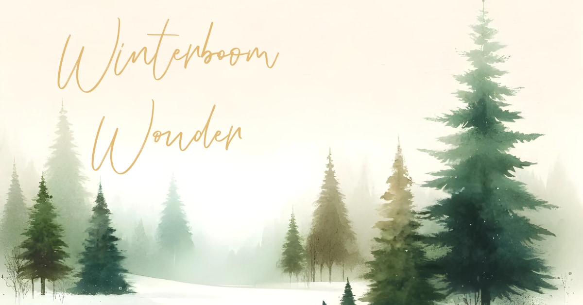 Winterboom Wonder